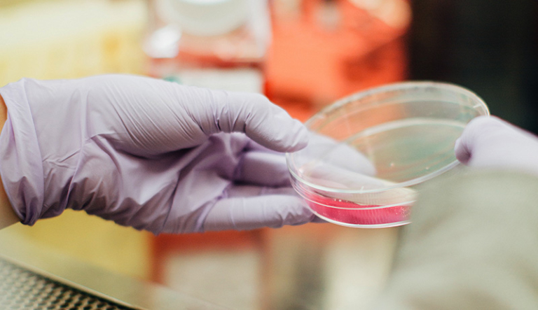 Investments – Safika Holdings