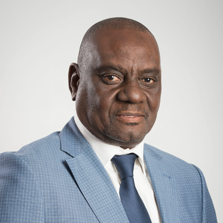 Corporate profile – Safika Holdings